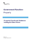 Intelligent Client Roles - Functional Guidance - GOV.UK