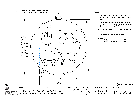 Traffic signs working drawings: TSRGD 2016 schedule 3 - GOV.UK
