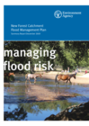 New Forest: Catchment flood management plan - GOV.UK