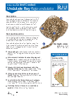 Undulate Ray commercial bycatch - GOV.UK