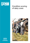 Condition scoring of dairy cows - GOV.UK
