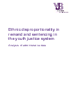 Ethnic disproportionality in remand and sentencing in the youth justice ...