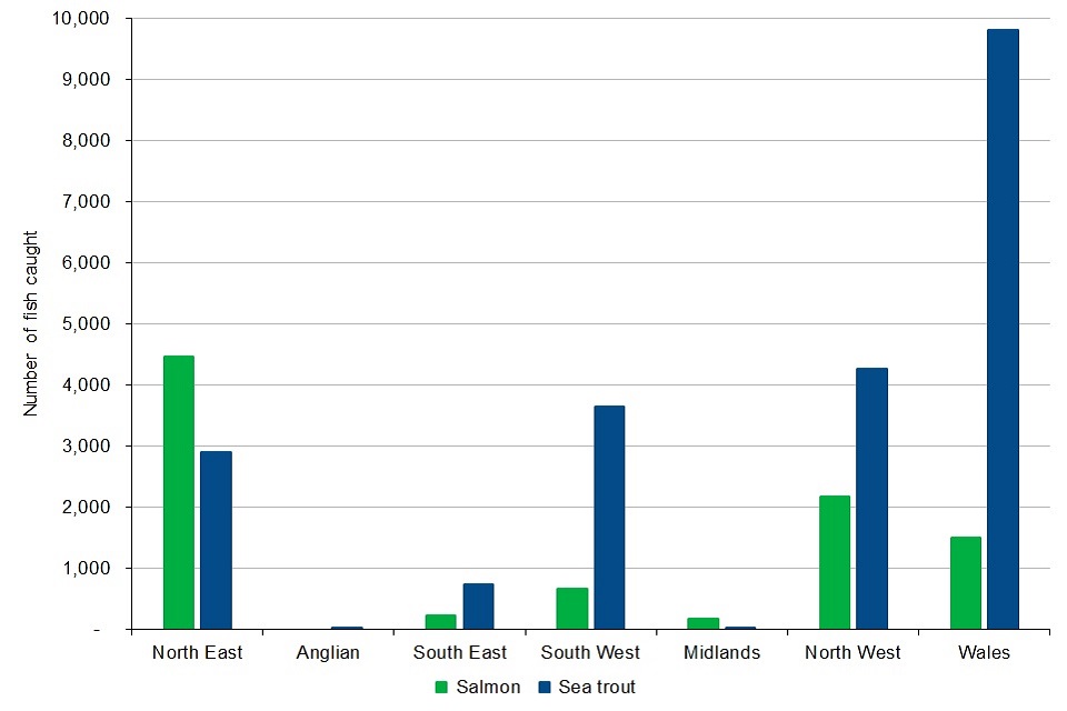 Salmonid and fisheries statistics for England and Wales 2019 - GOV.UK