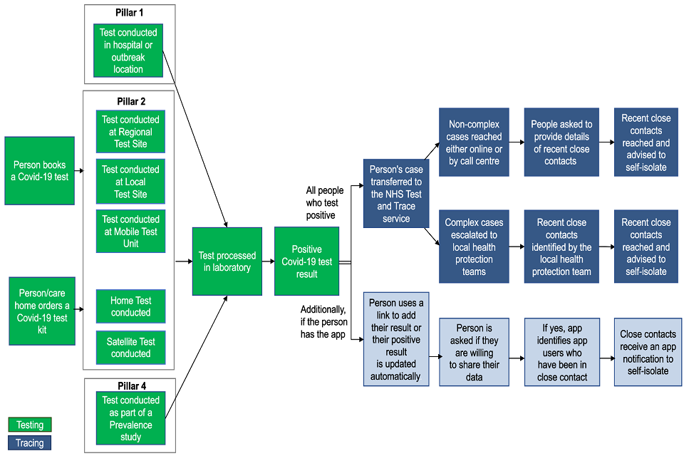 NHS Test and Trace (England) and coronavirus testing (UK) statistics: 8 ...