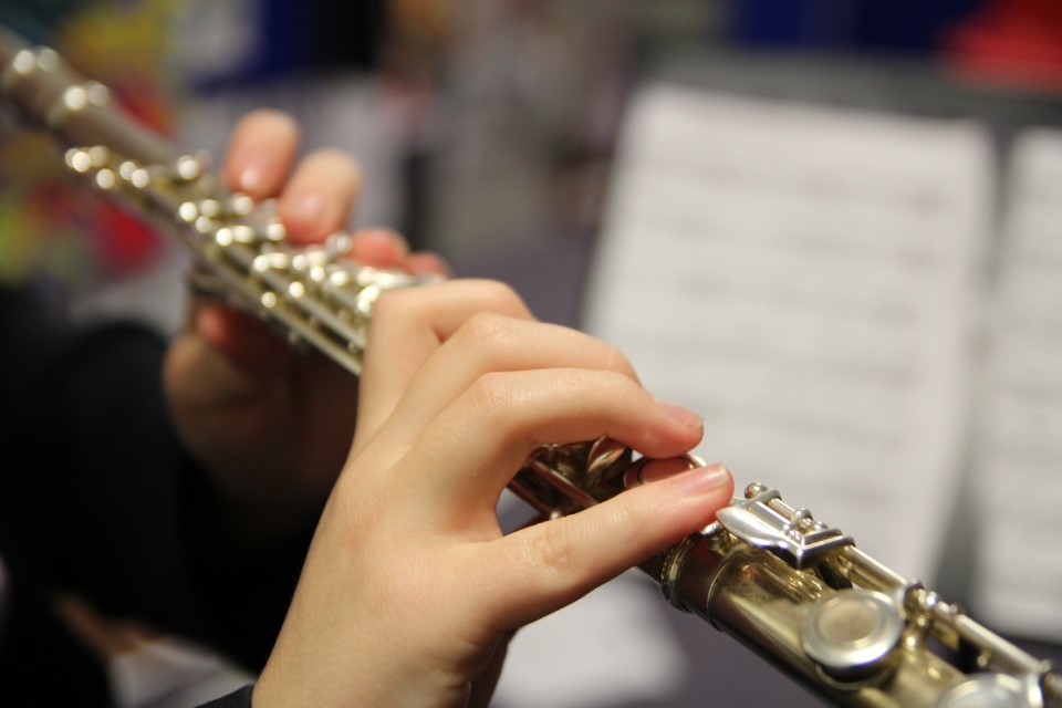 Musical Instrument Traders Banned For 18 Years GOV UK Musical Instrument Traders Banned For 18 Years GOV UK