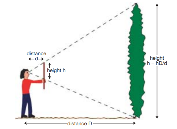 Hedge height and light loss - GOV.UK