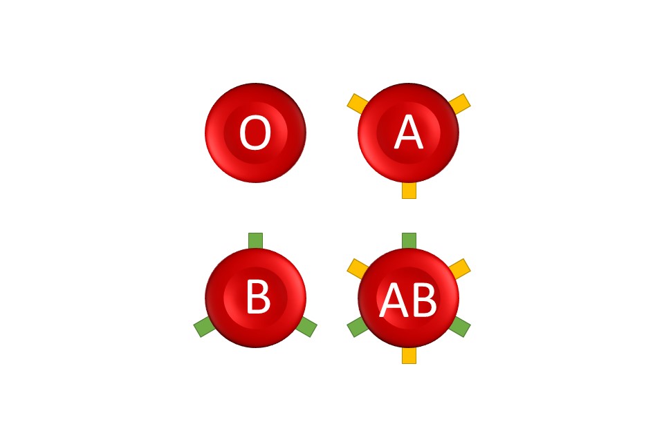Genomics Beyond Health - full report (accessible webpage) - GOV.UK