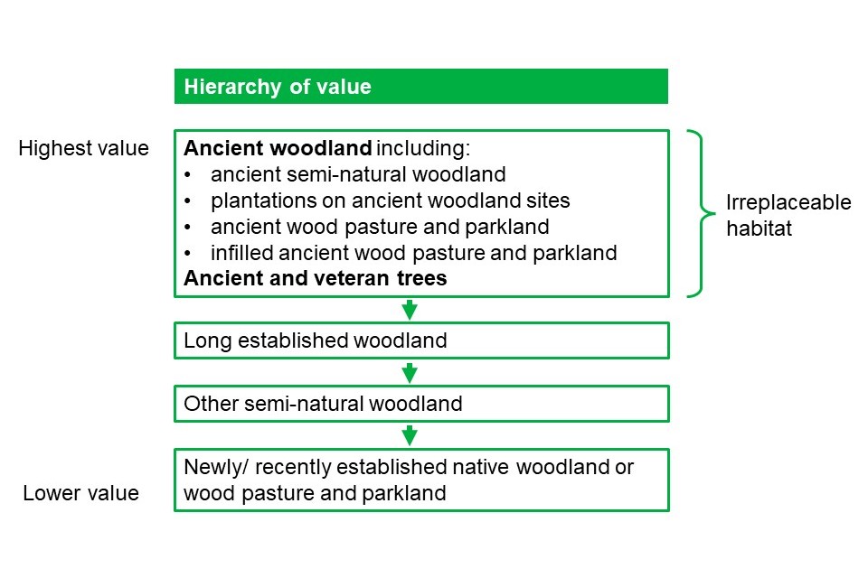 Keepers of time: ancient and native woodland and trees policy in ...