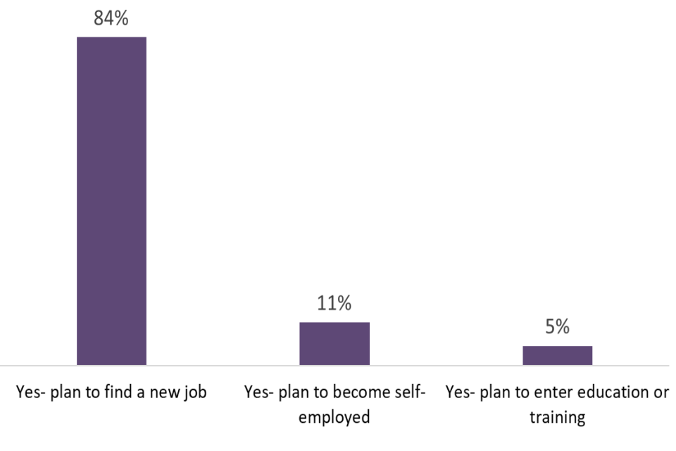 Graduate route: early insights evaluation - GOV.UK