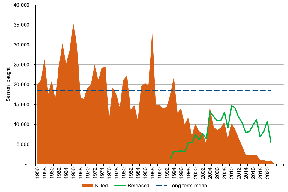 Salmonid and fisheries statistics for England and Wales 2021 - GOV.UK