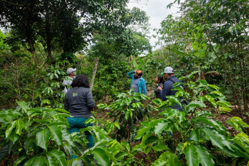 UK PACT helps mitigate the effects of climate change in Mexico - GOV.UK