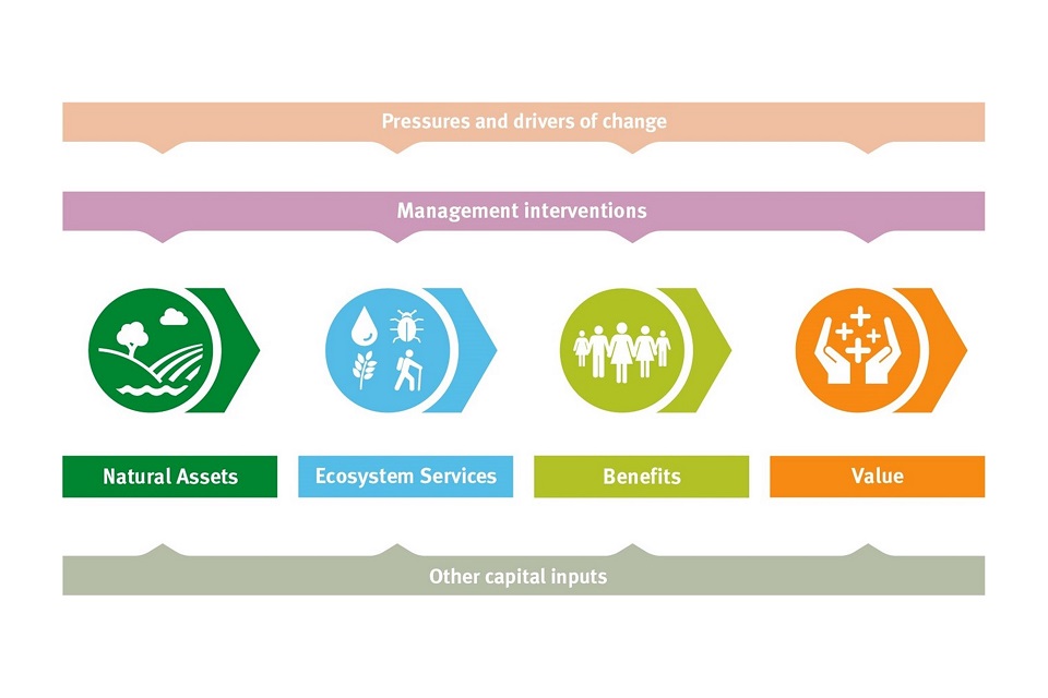 Appendix E: Natural capital approach - GOV.UK