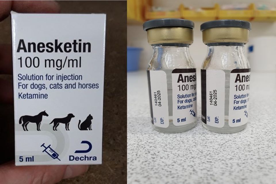 Anesketin 100 mg/ml solution for injection - Product defect recall ...