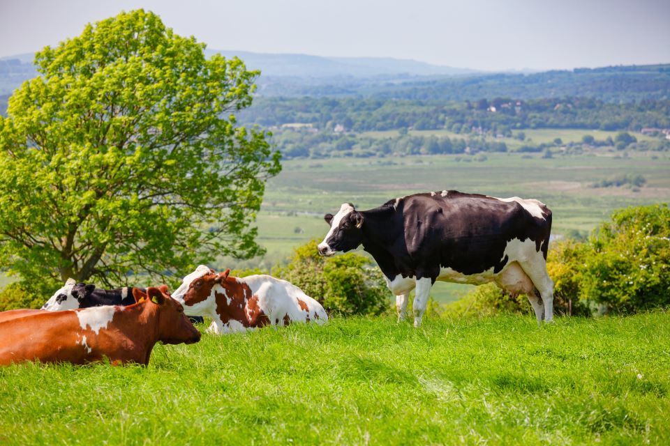 Applications Open for 2024 Countryside Stewardship Higher Tier Grants ...