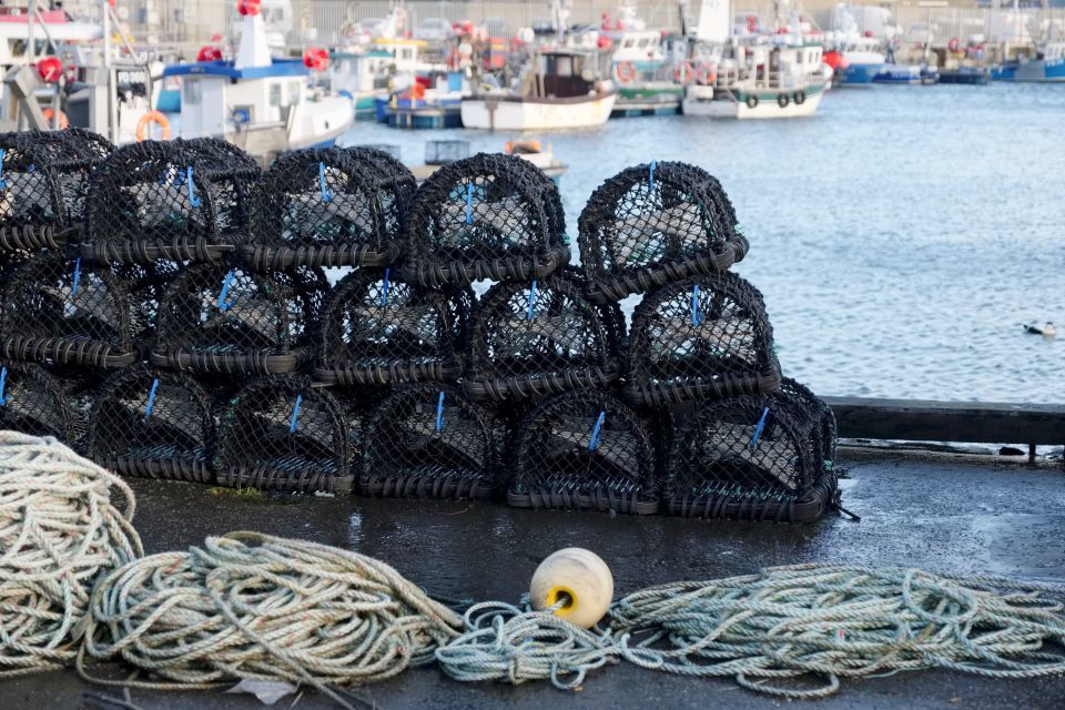 Fishing industry nets new funding to train the next generation - GOV.UK