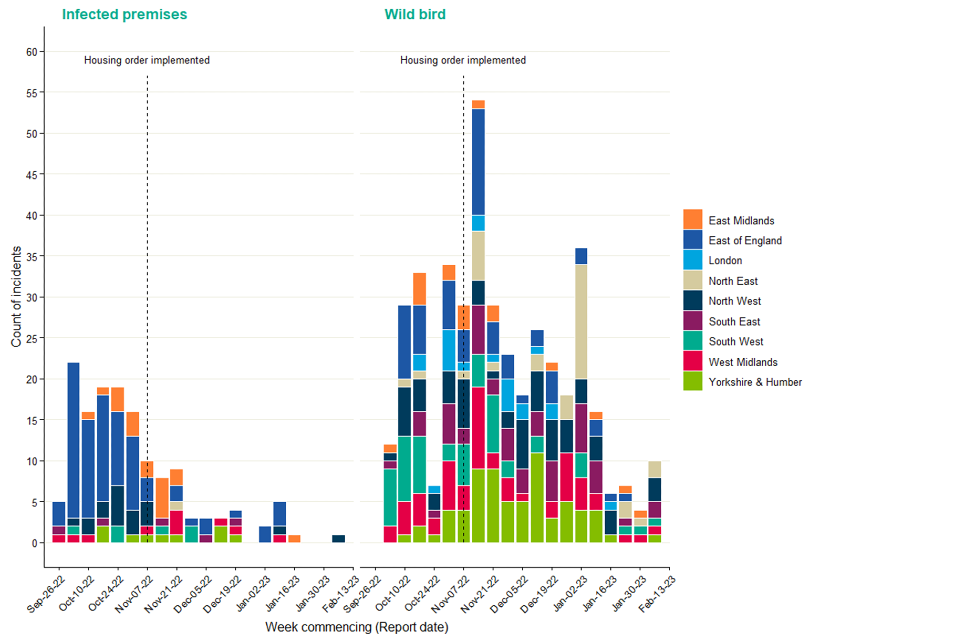 Investigation into the risk to human health of avian influenza ...