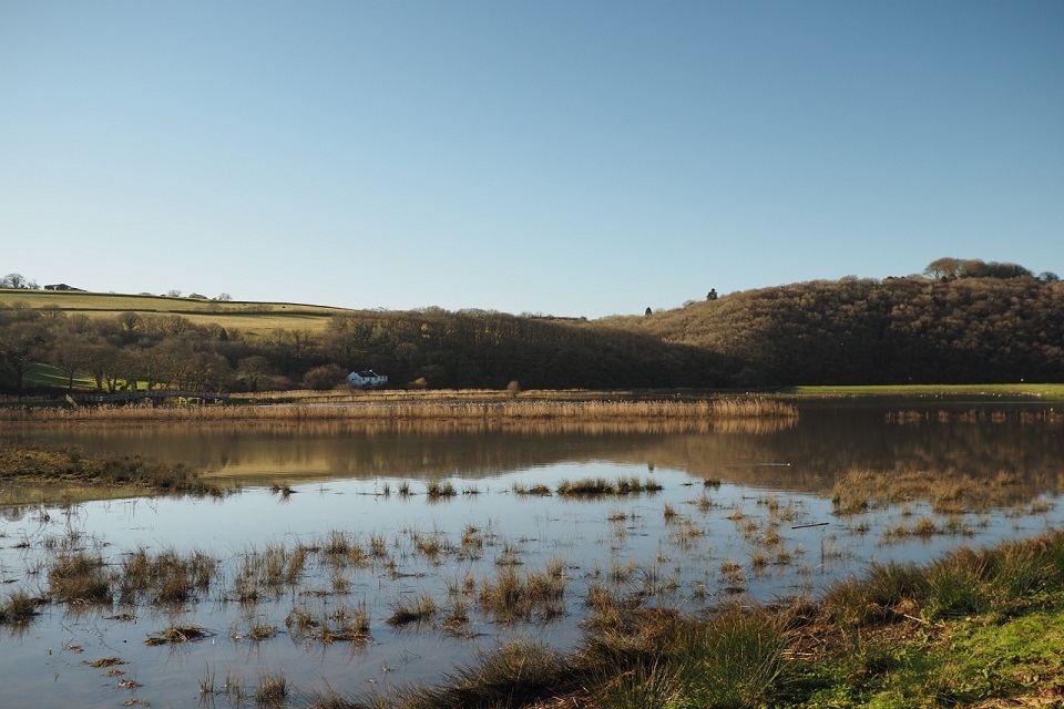 20-year deal secures future of Calstock wetlands | Mirage News