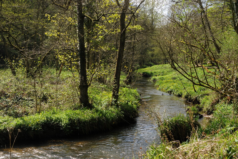New plan for cleaner and more plentiful water - GOV.UK