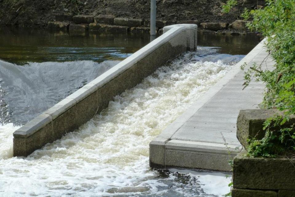 New fish passes open in Leeds - GOV.UK