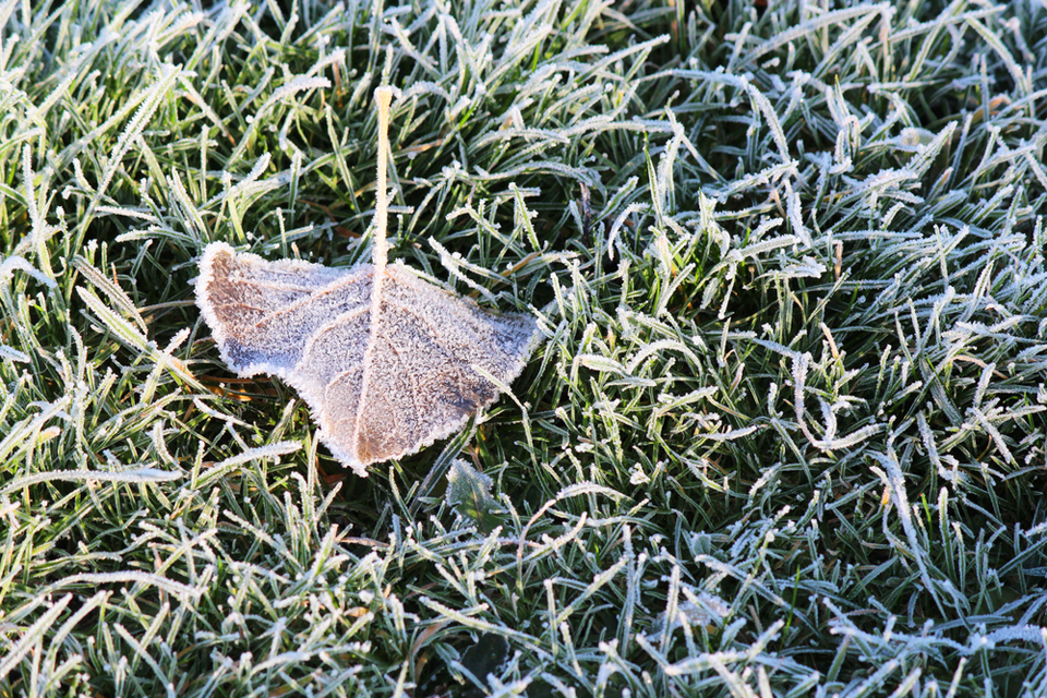 Cold weather arrives - GOV.UK