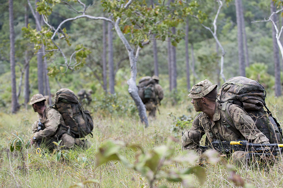 VJ Day 70: How soldiers of today learn the laws of the jungle - GOV.UK