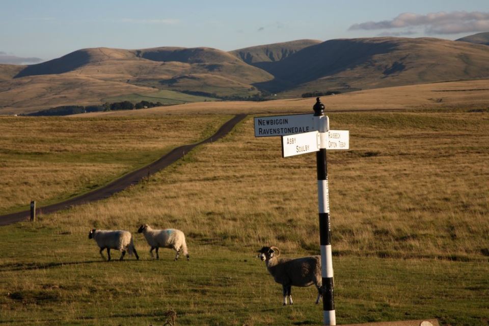 Natural England welcomes the decision to extend the Yorkshire Dales and ...