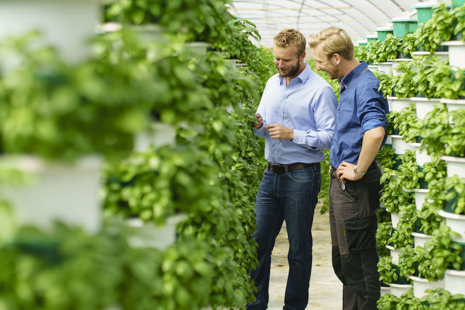Transforming food production: funding and events - GOV.UK