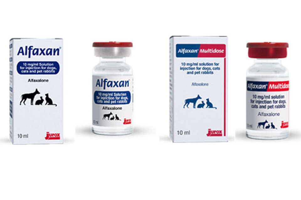 Alfaxan & Alfaxan Multidose 10mg/ml Solution for Injection - Product ...