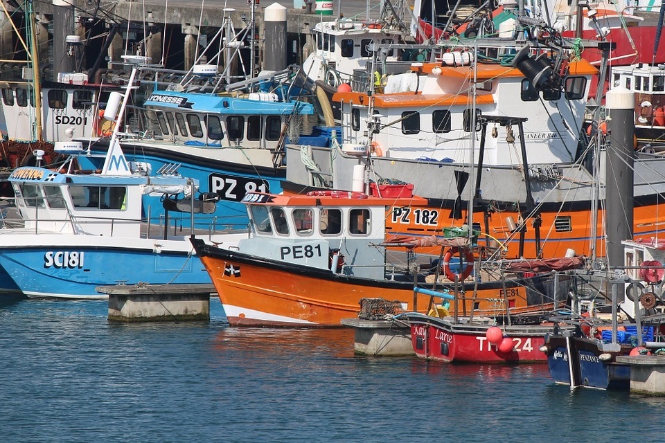 Government launches call for evidence on allocating additional fishing ...