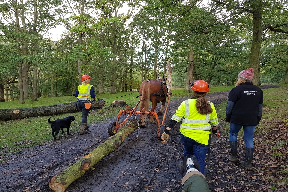 Heavy horse helps deliver natural flood management scheme - GOV.UK Heavy horse helps deliver natural flood management scheme - GOV.UK