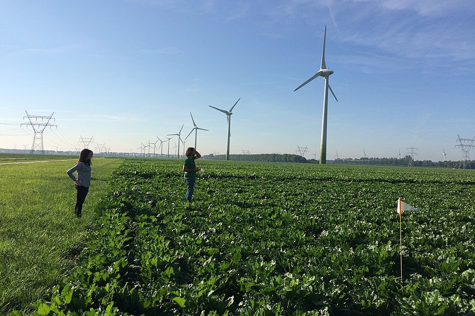 US exports lead to £1m exports boom for Levity Crop Science - GOV.UK