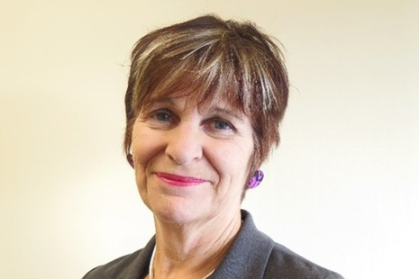 Annie Hudson - GOV.UK