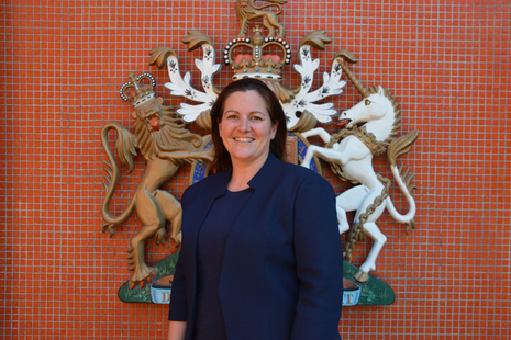 Louise Ellis MBE - GOV.UK