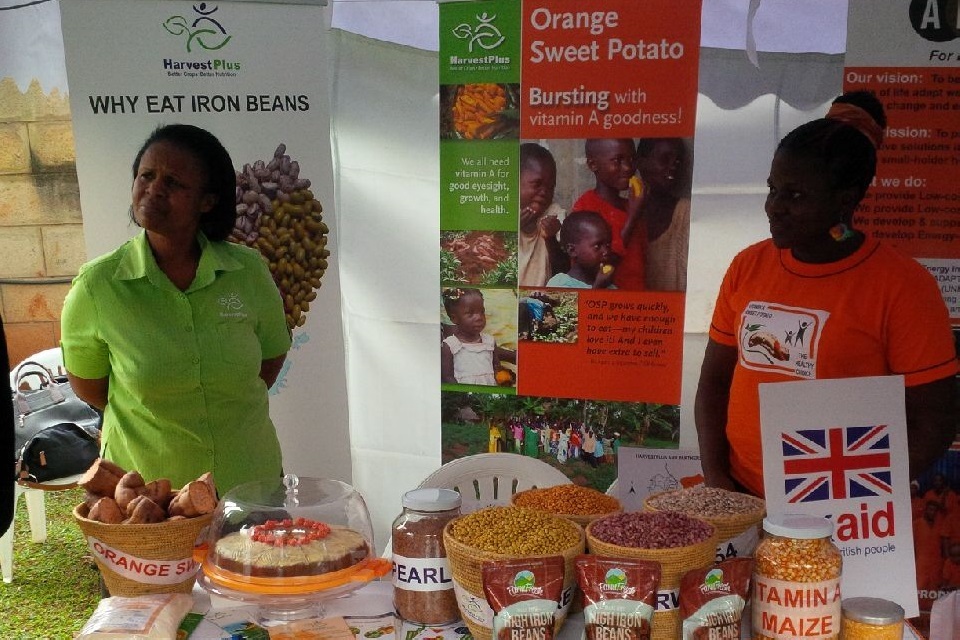 World Food Prize 2016 awarded to DFID-funded scientists - GOV.UK