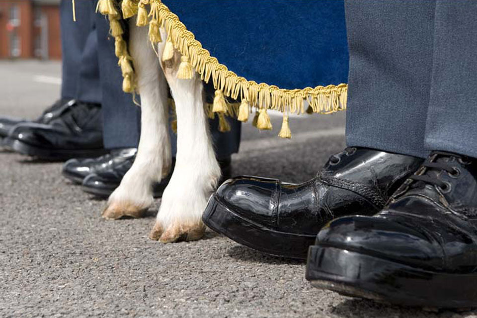 Aircraftman George the goat makes his debut - GOV.UK