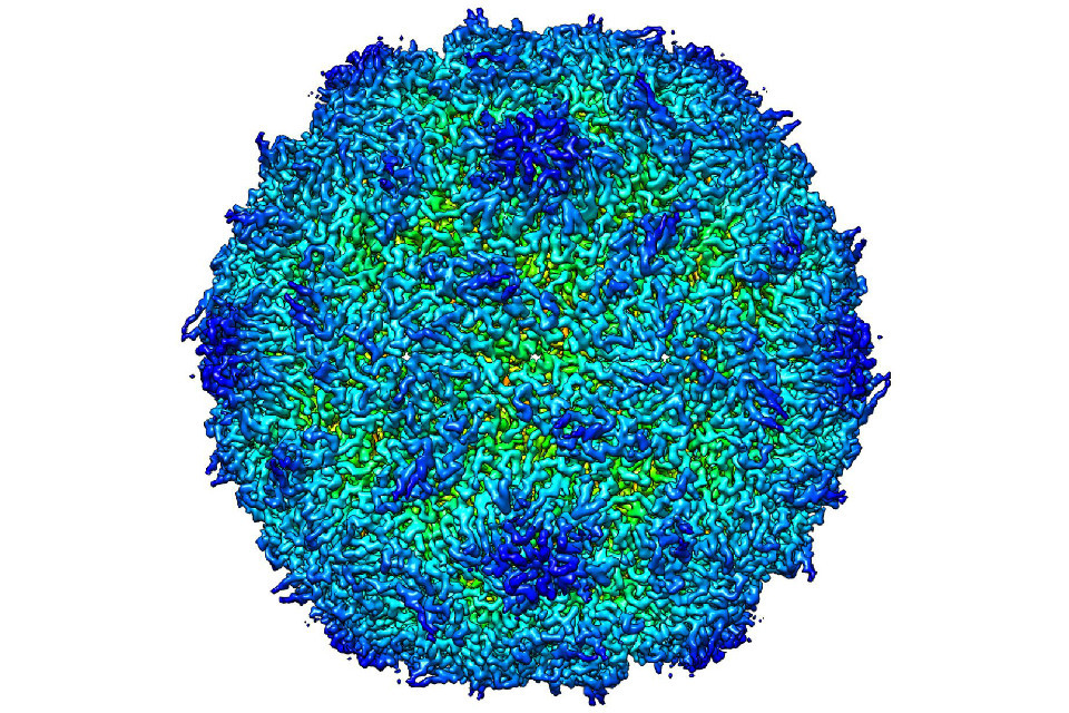 Making safer polio vaccines with plants - GOV.UK