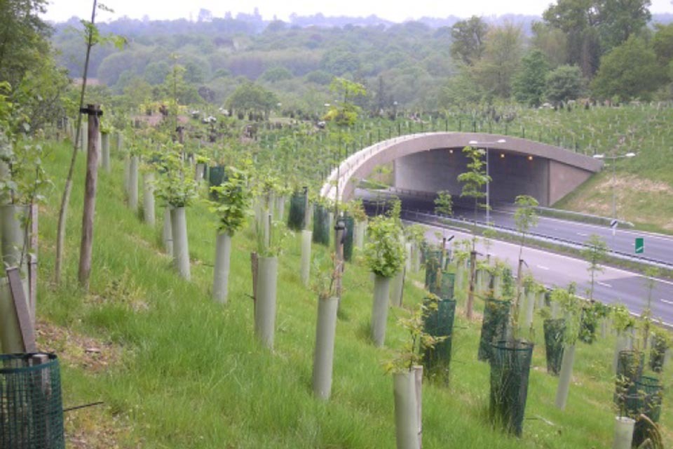 Green bridges: safer travel for wildlife - GOV.UK