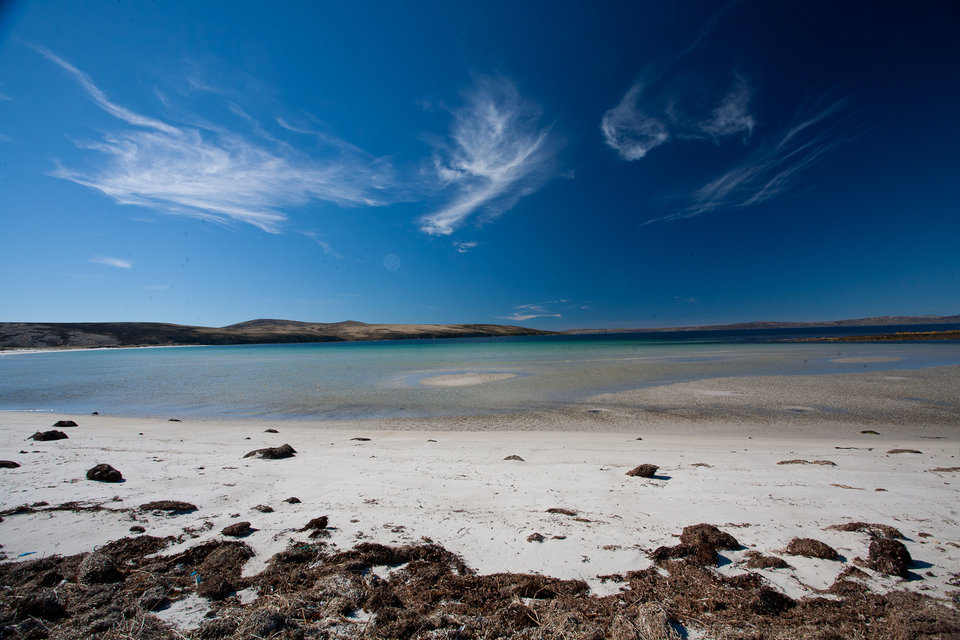 FALKLANDS - GOV.UK