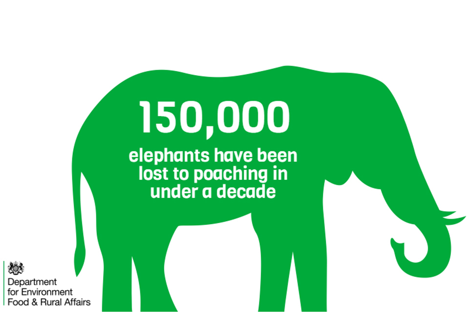 UK ban on modern day ivory sales - GOV.UK