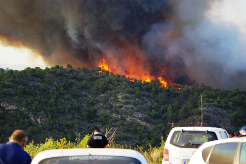 Top tips for what to do - Forest Fire - GOV.UK