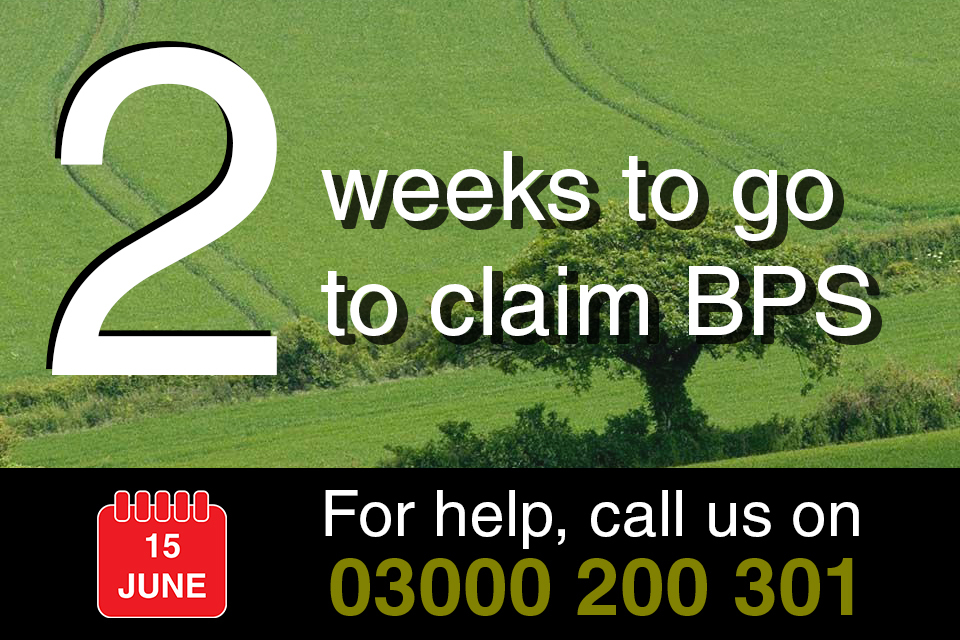 More than half of BPS 2015 claims submitted as deadline approaches - GOV.UK