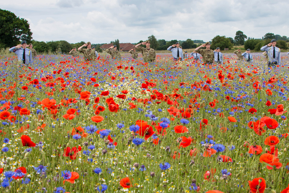Cadets aim to raise £1 million for tree project honouring war dead - GOV.UK