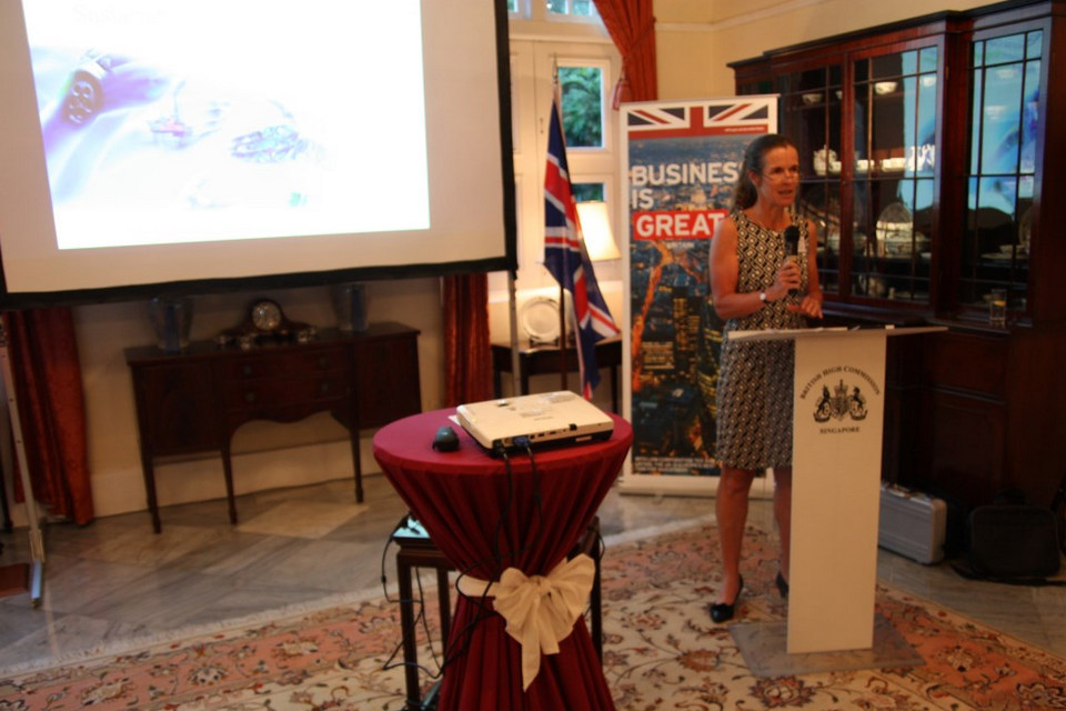 Low carbon business reception in Singapore - GOV.UK