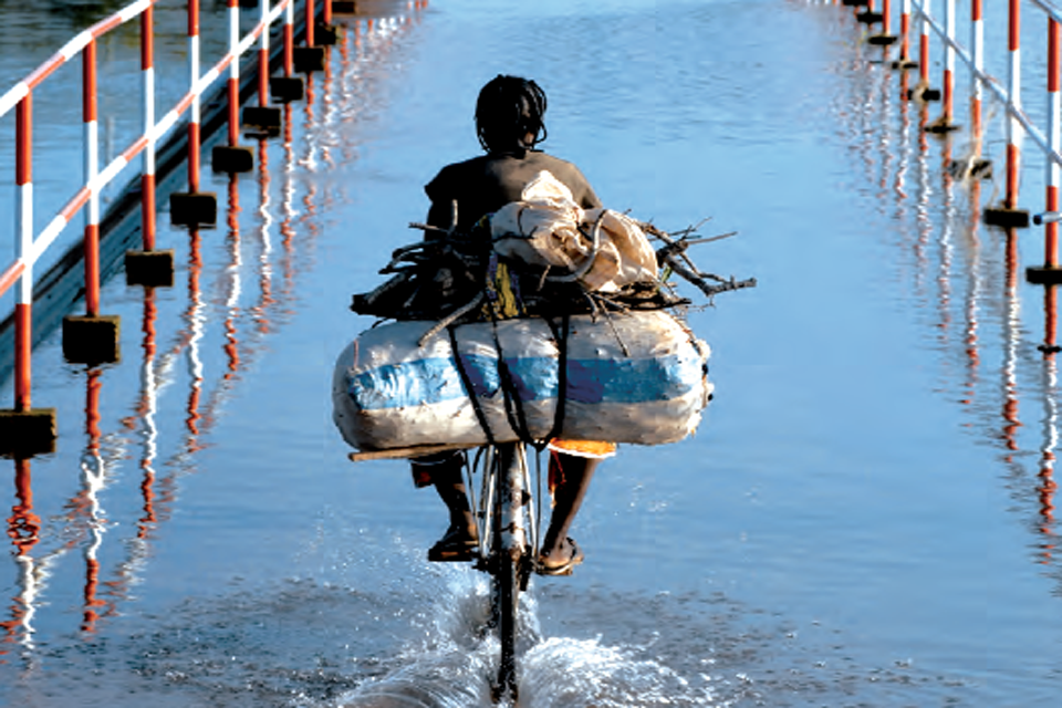 DFID Research: Ecosystem Services for Poverty Alleviation- Job ...