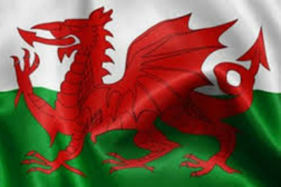 Welsh National Day- St David’s Day- Celebrated - GOV.UK