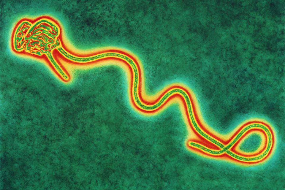 [Withdrawn] Ebola risk remains low as PHE publishes first monthly Ebola ...