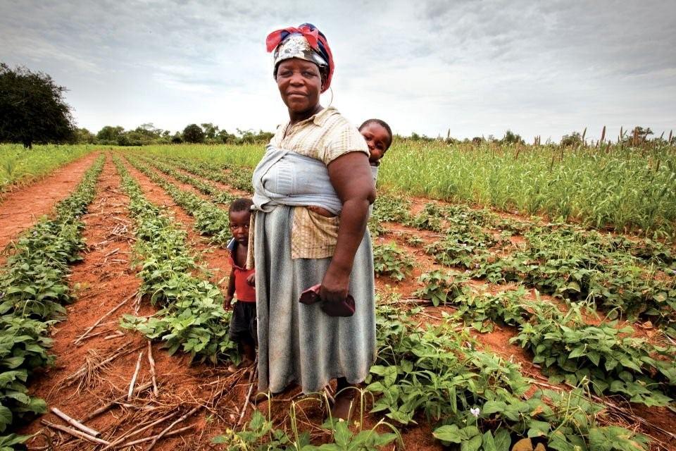 Call For Expression of Interest - GOV.UK