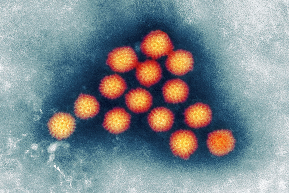 New vaccine offers babies protection against rotavirus - GOV.UK