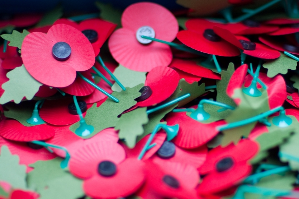 Todos juntos para recaudar fondos del "Royal British Legion Poppy ...
