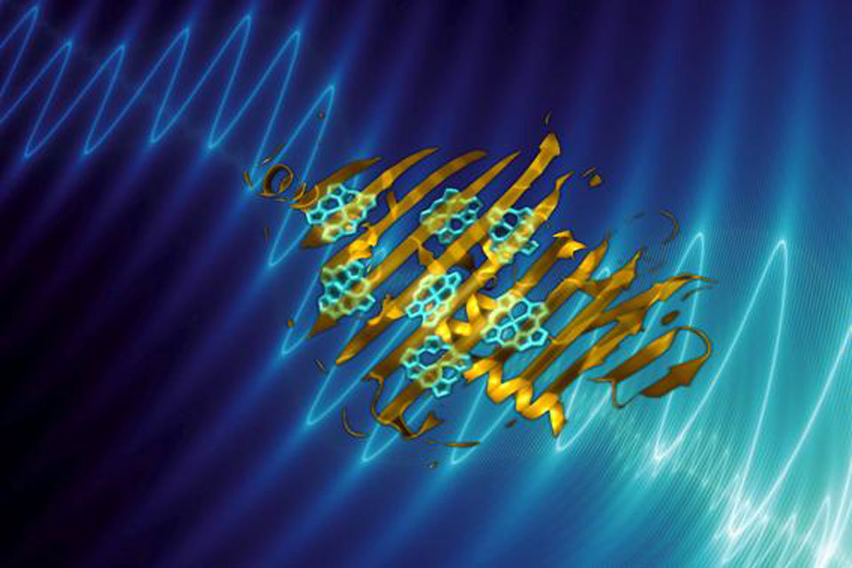 New Frontiers for Quantum Technology in Biological and bio-inspired ...